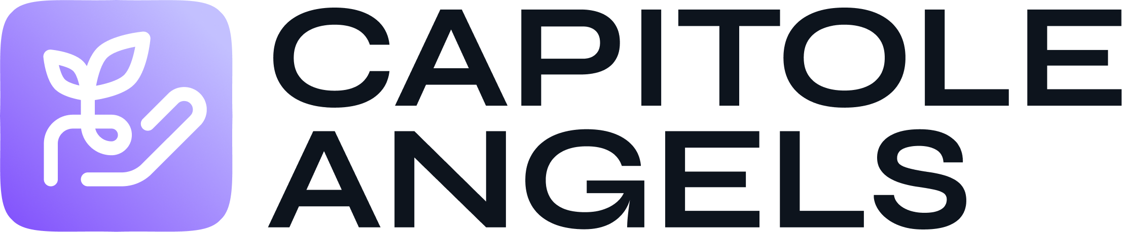 Nouveau logo pour Capitole Angels – L'actu des Business Angels
